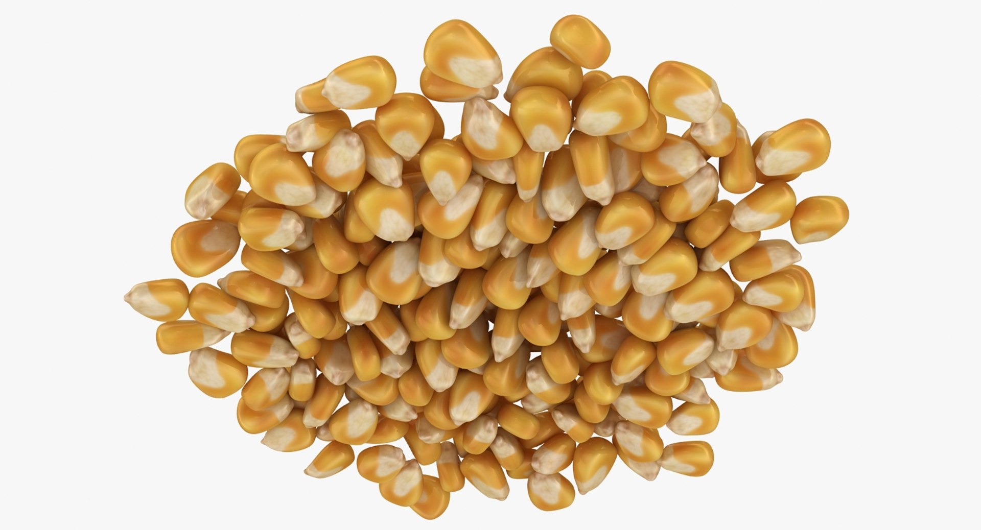 3D Realistic Corn Kernel Model - TurboSquid 1192453