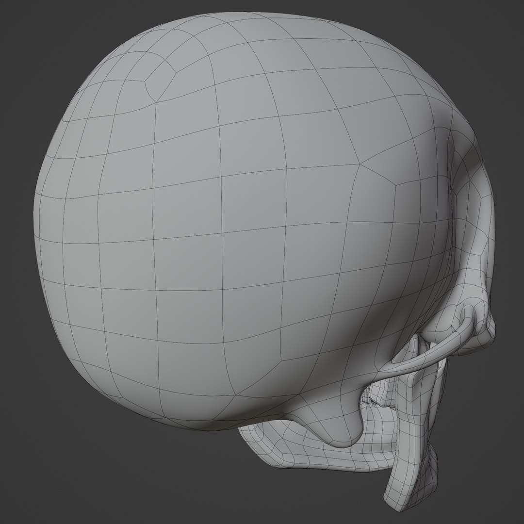 Human Skull 3D Model - TurboSquid 2121618
