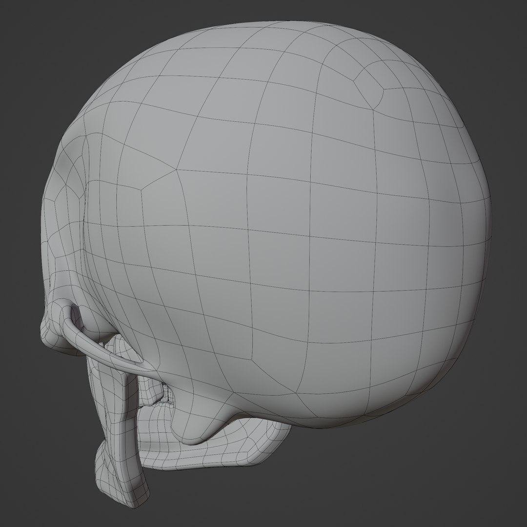 Human Skull 3D Model - TurboSquid 2121618