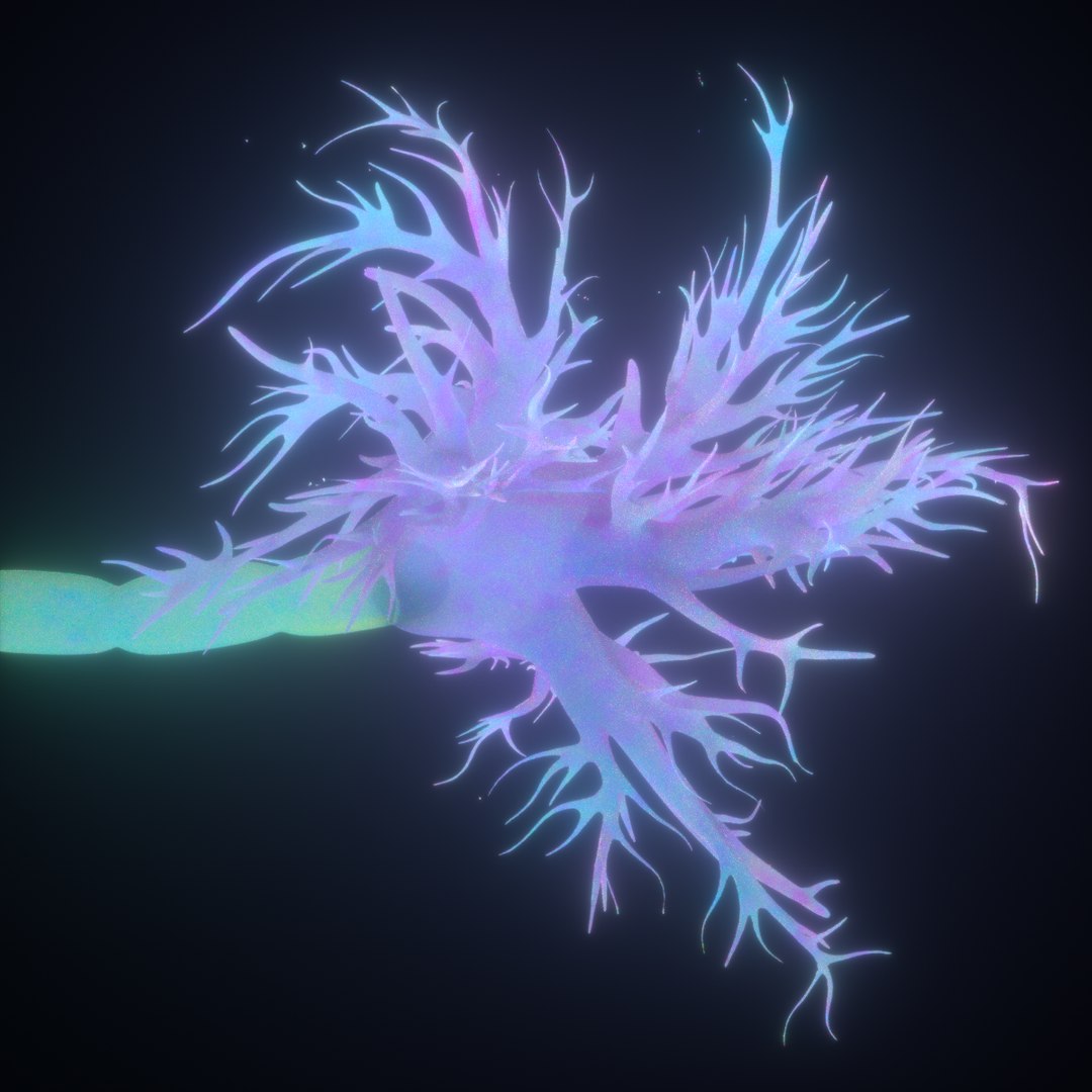 3D Neuron Human Anatomy Model - TurboSquid 1387283