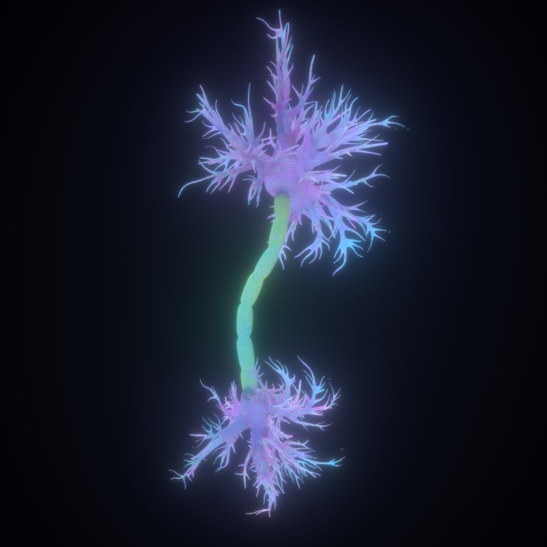 3D Neuron Human Anatomy Model - TurboSquid 1387283