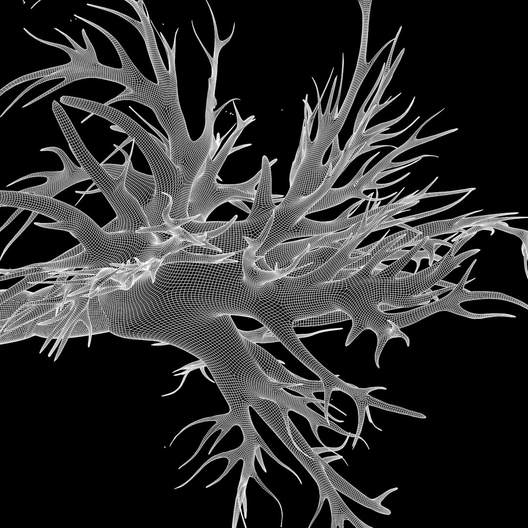 3D Neuron Human Anatomy Model - TurboSquid 1387283