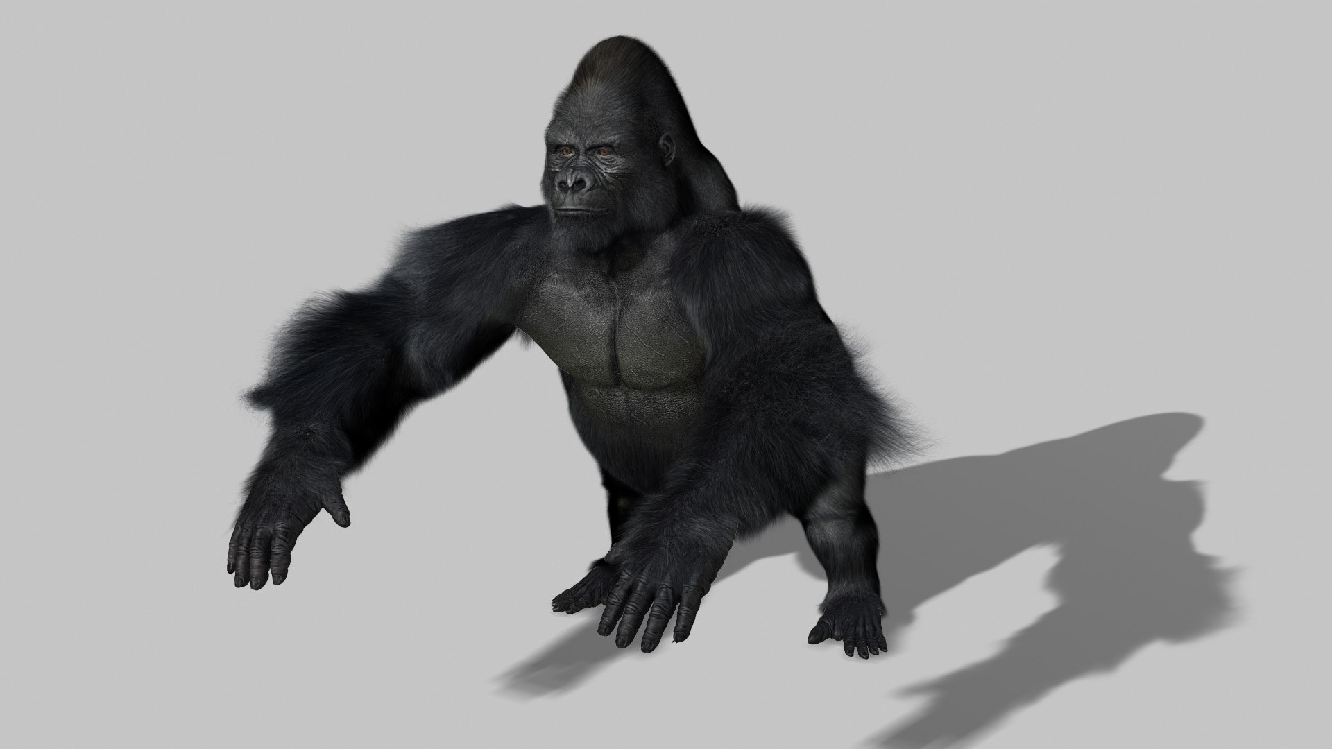 Gorilla Rigging Animation Max