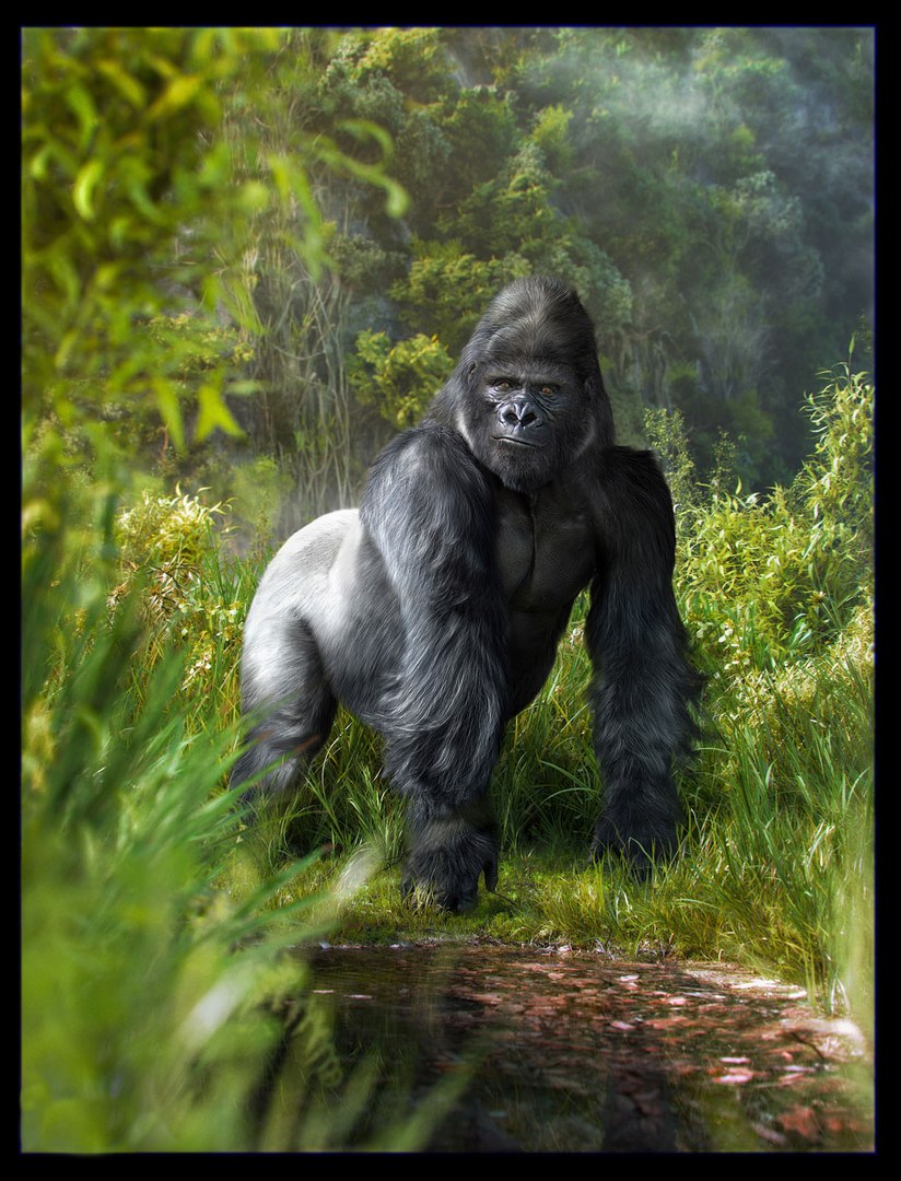 gorilla rigging animation max