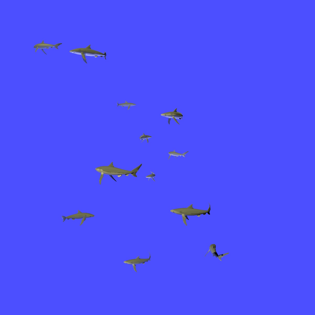 3D Model Sharks Swimming Animation - TurboSquid 1181884