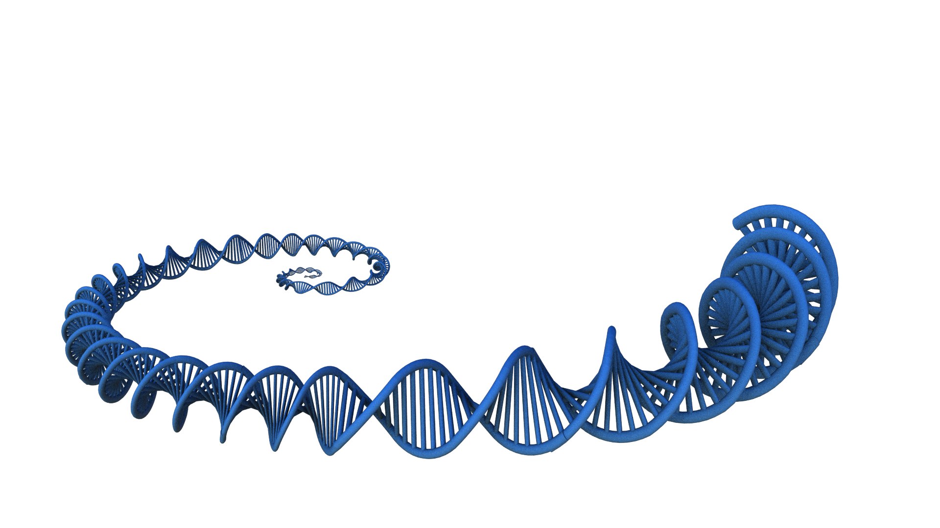 3D Spiral Dna Golden Ratio - TurboSquid 1455580