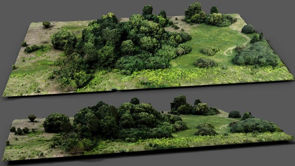 나무 지형 지역 pt2 lowpoly 드론 사진 측량 3D 모델 - TurboSquid 2338727