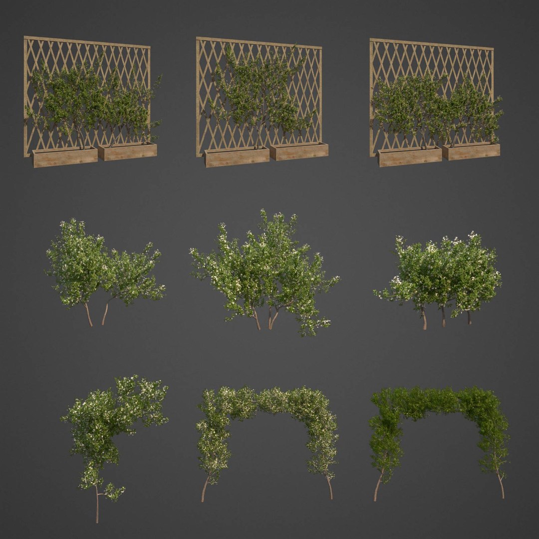 Garden 3D Model - TurboSquid 1677009