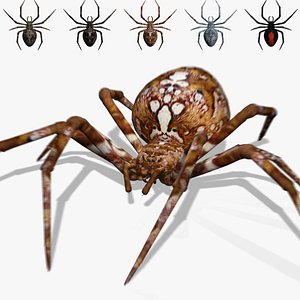 Spider Blender Models for Download | TurboSquid