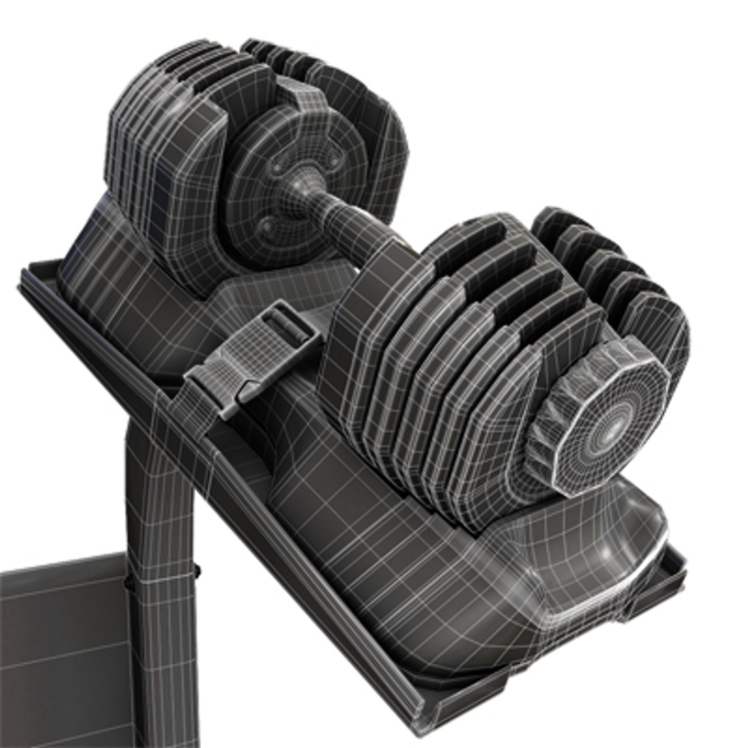 home dumbbell set bowflex 3d model