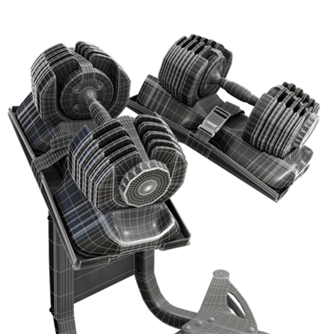 home dumbbell set bowflex 3d model