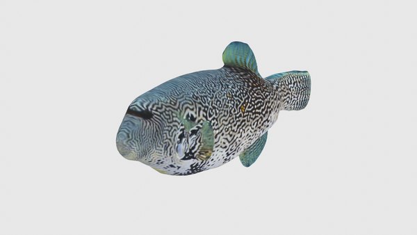 Low Poly Pufferfish Rigged With Realistic Texture 3D model - TurboSquid ...