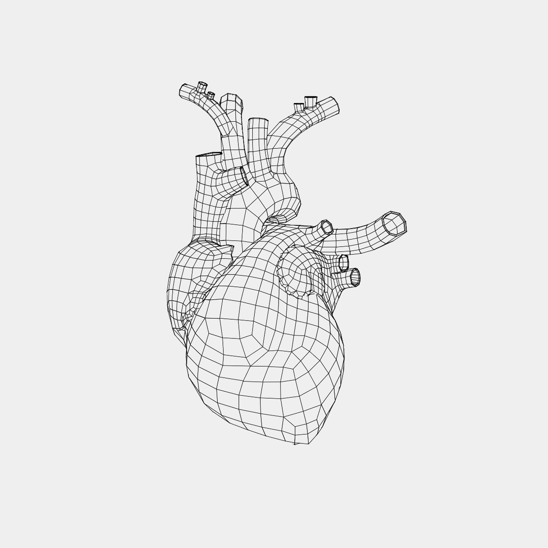 Anatomy Medical 3d Fbx