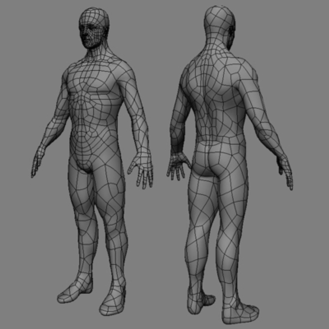 lightwave rig anatomy virtual 3d model