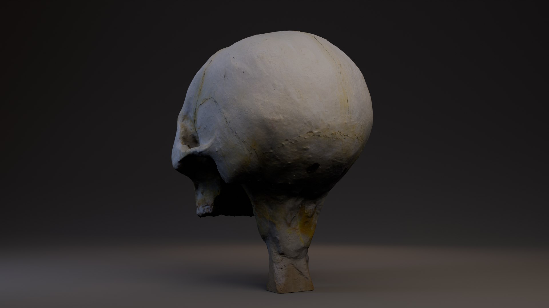 3D Photogrammetry Realistic Skull - TurboSquid 2309729