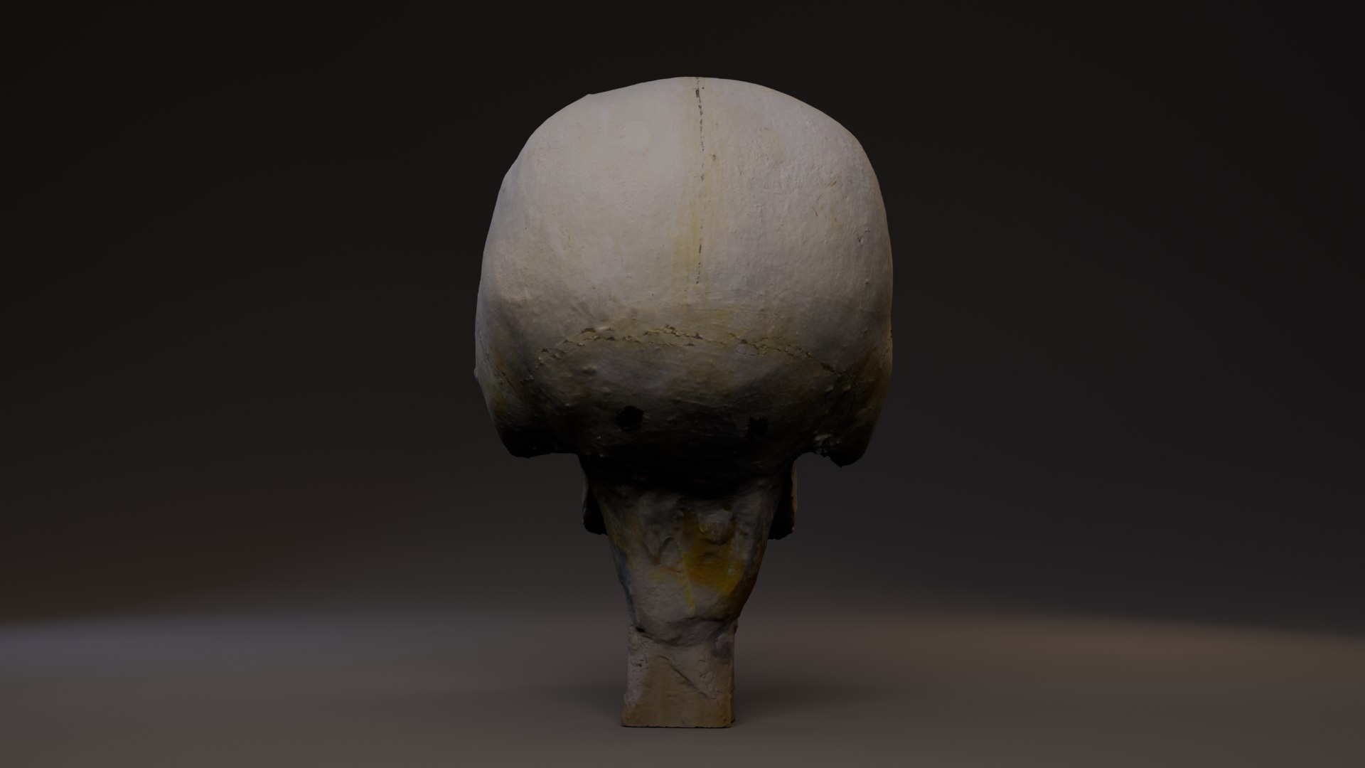 3D Photogrammetry Realistic Skull - TurboSquid 2309729