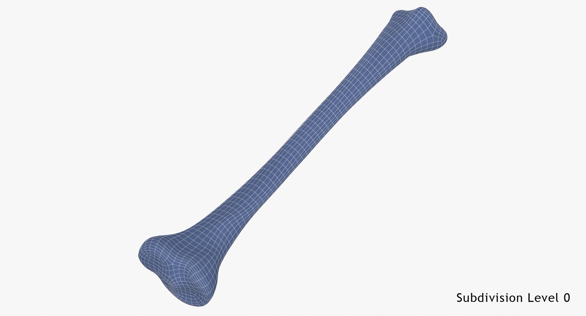 Human tibia bone 01 3D model - TurboSquid 1539328