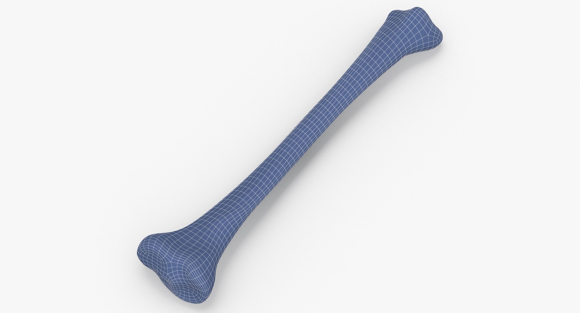 Human tibia bone 01 3D model - TurboSquid 1539328