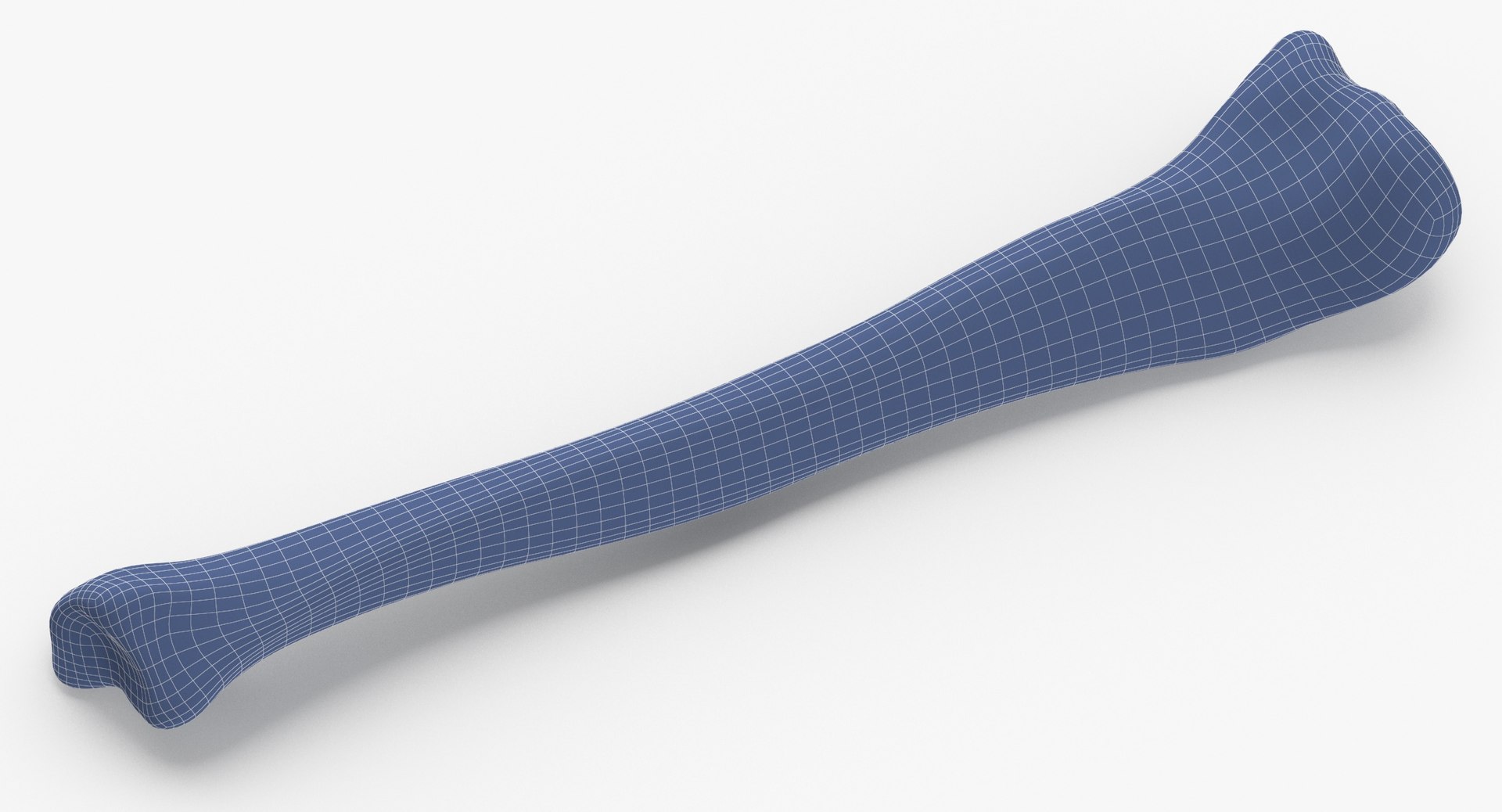 Human tibia bone 01 3D model - TurboSquid 1539328