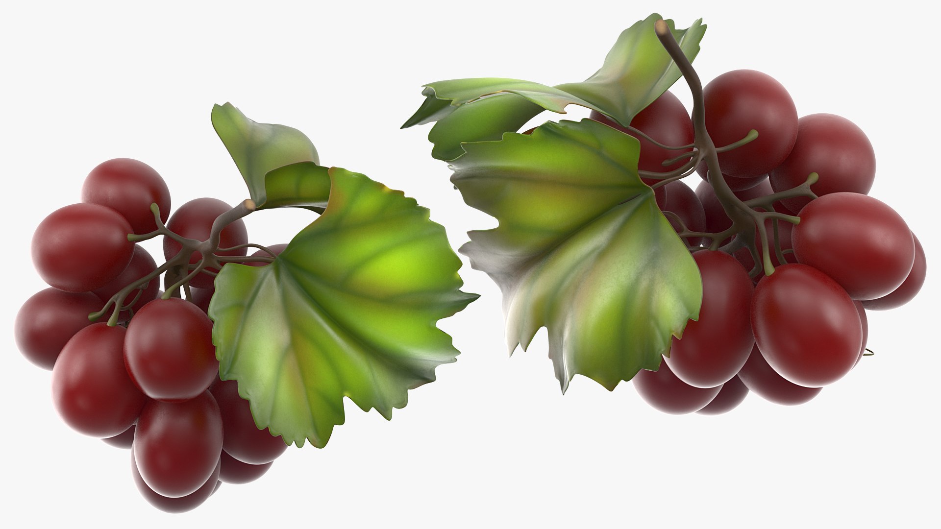 3D Grapes Collection 2 - TurboSquid 1854529