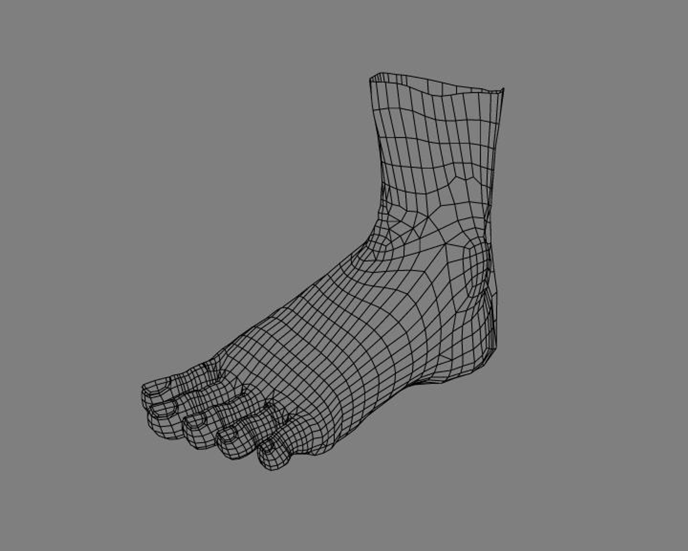 3d foot model