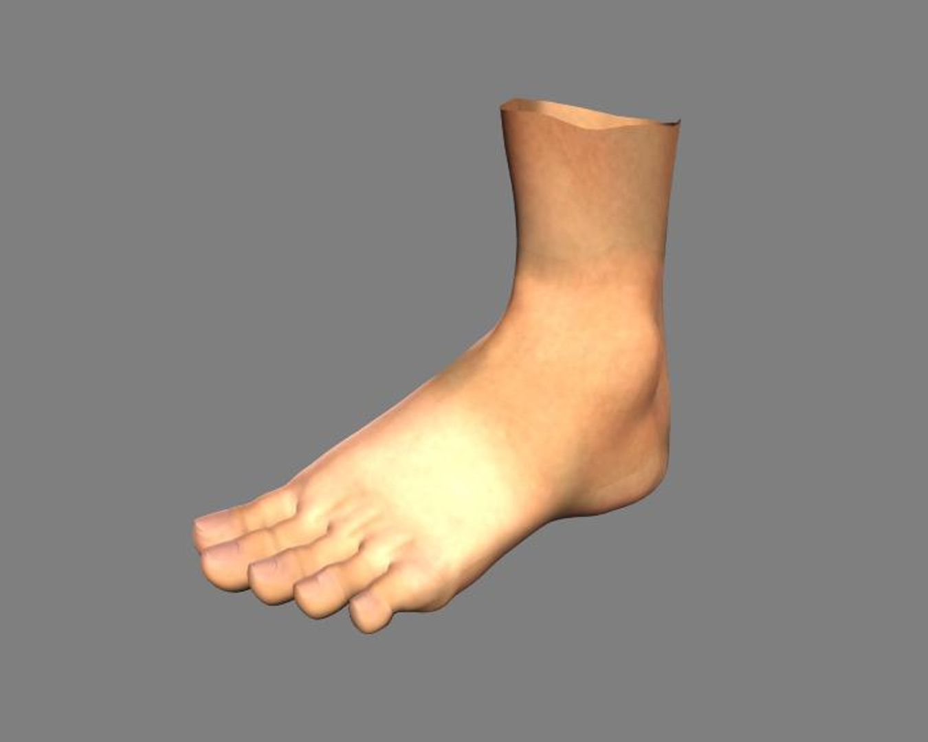 3d foot model