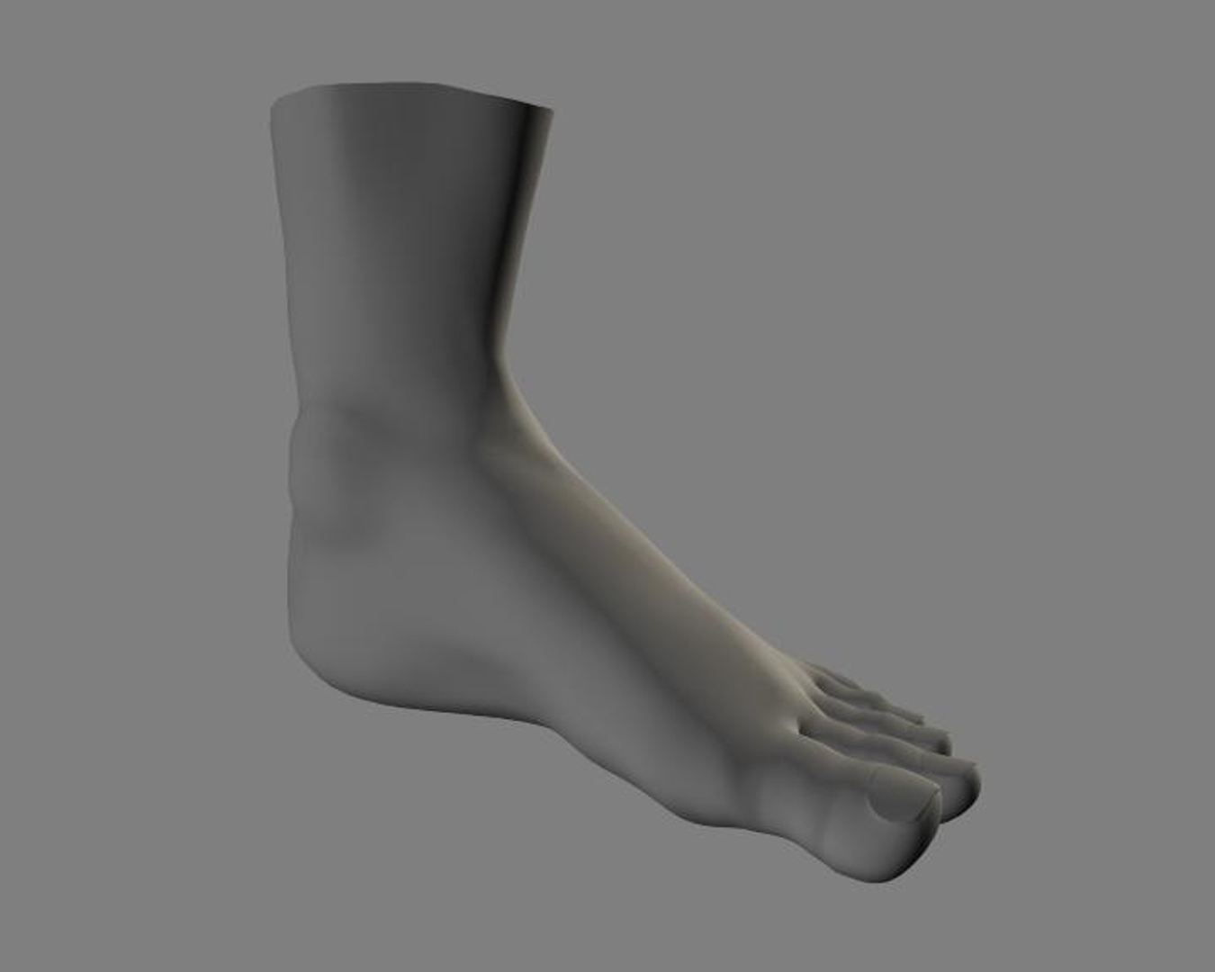 3d foot model