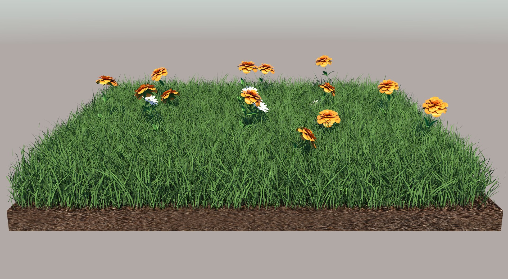 Grass Plant 3D - TurboSquid 1712906