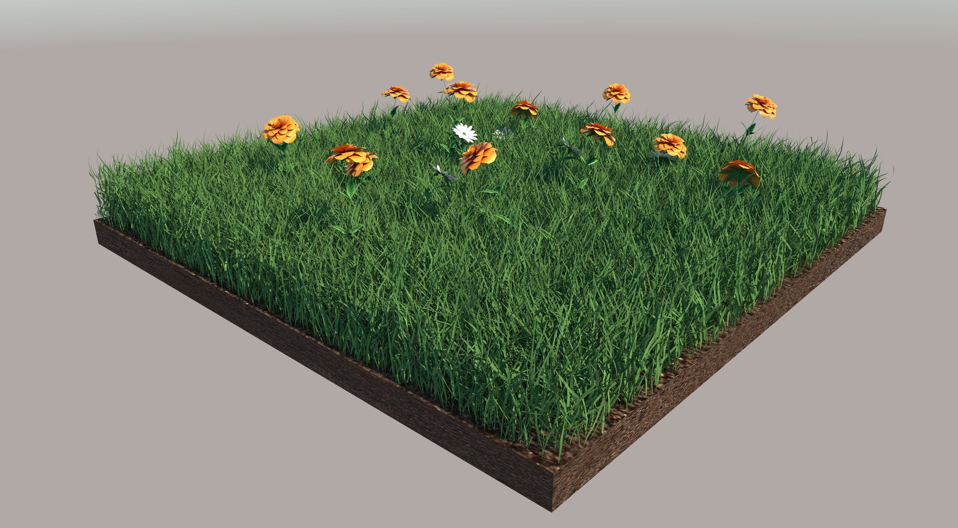 Grass Plant 3D - TurboSquid 1712906
