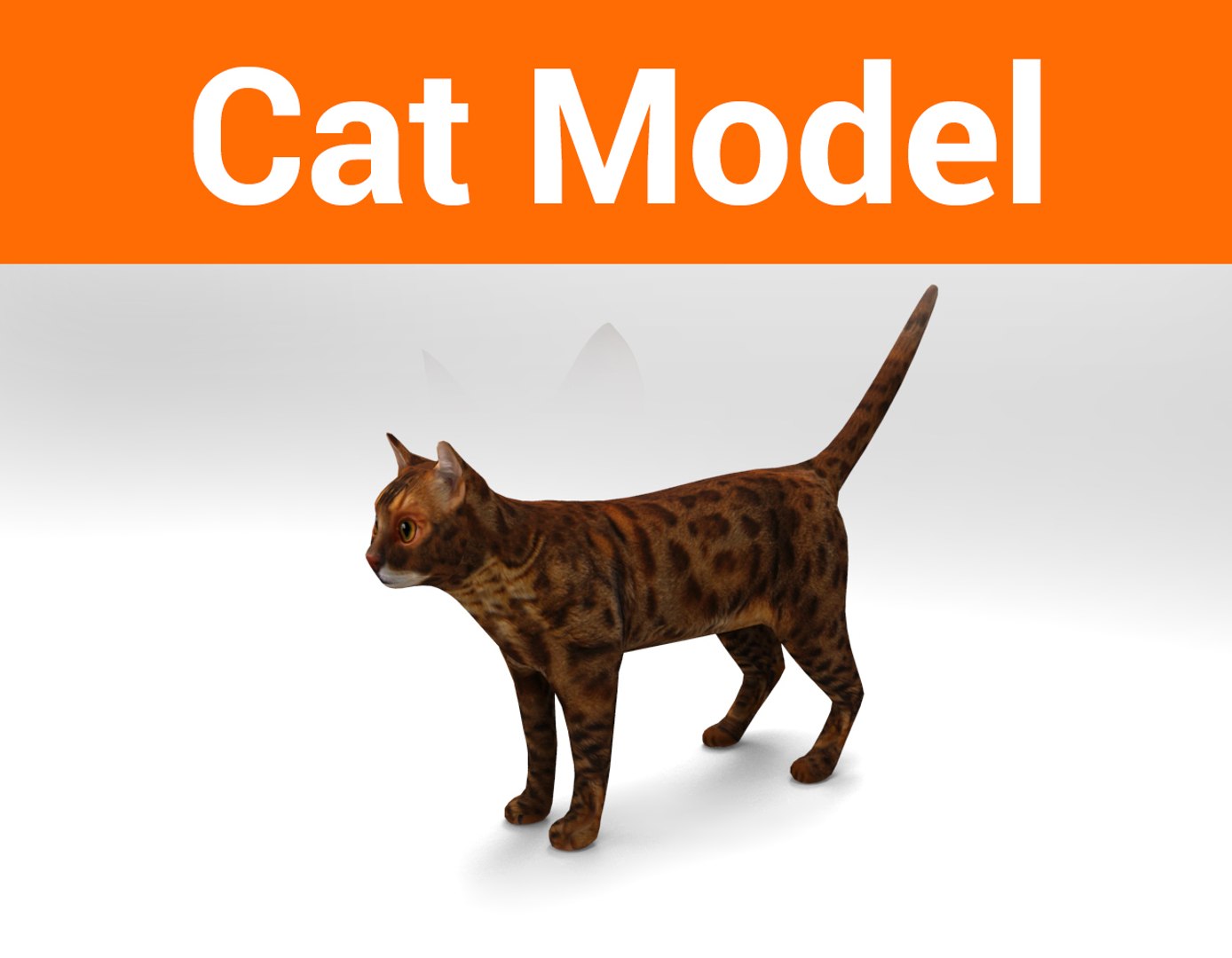 Max Cat Ready