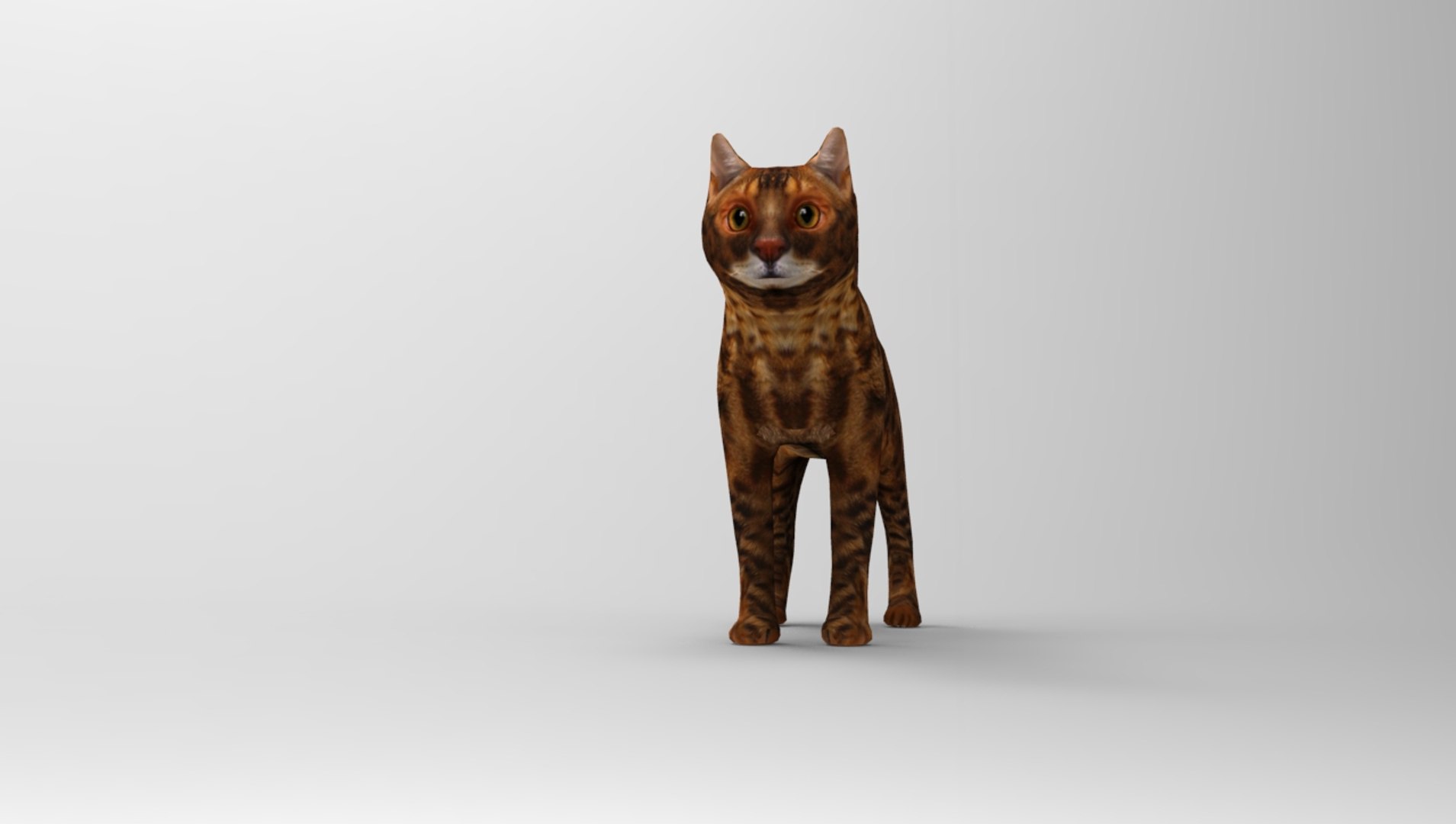 Max Cat Ready