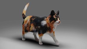Blender Cat Models | TurboSquid