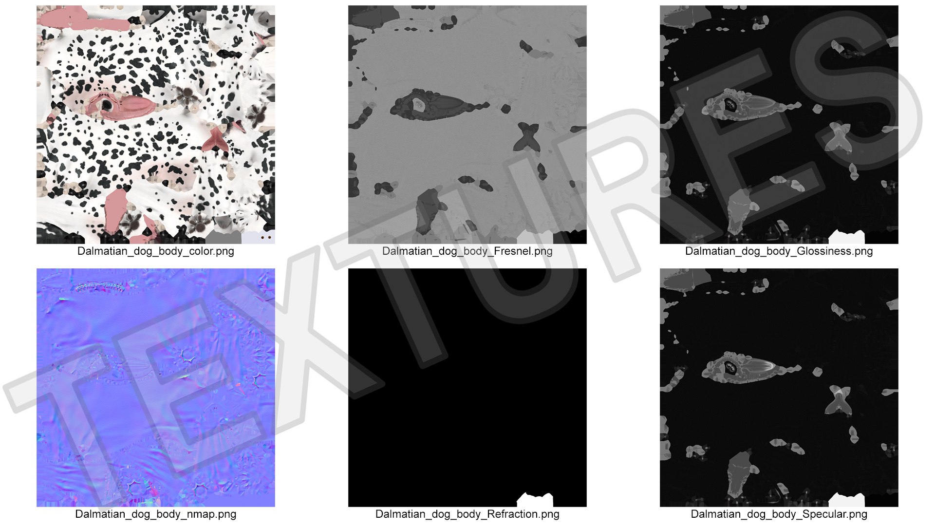 Dalmatian Dog Fur Model - TurboSquid 2234449