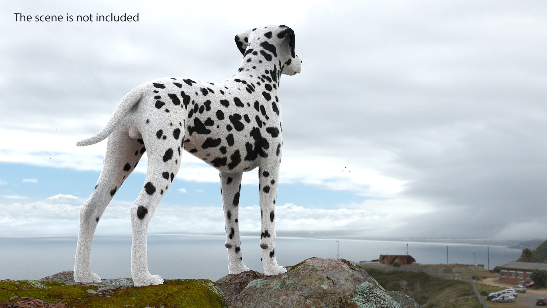 Dalmatian Dog Fur Model - TurboSquid 2234449