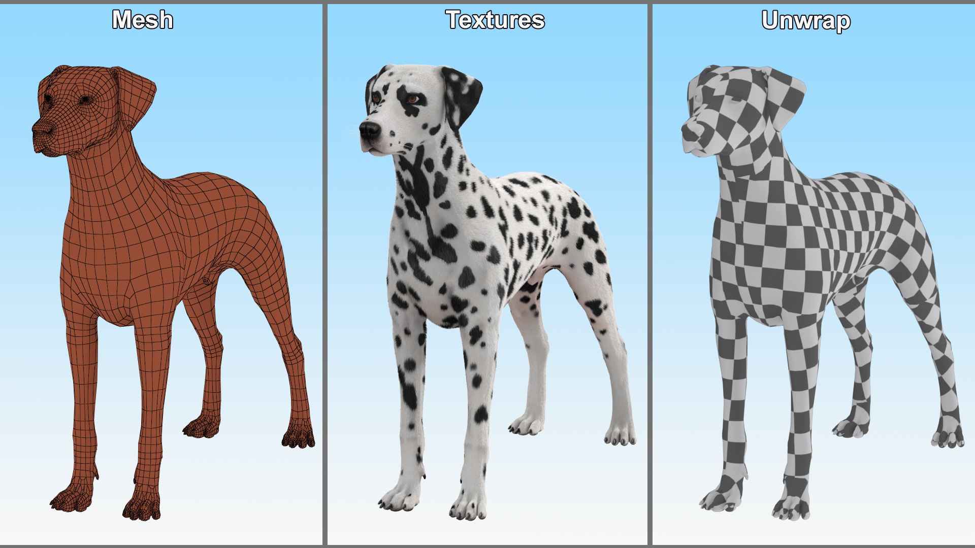 Dalmatian Dog Fur Model - TurboSquid 2234449