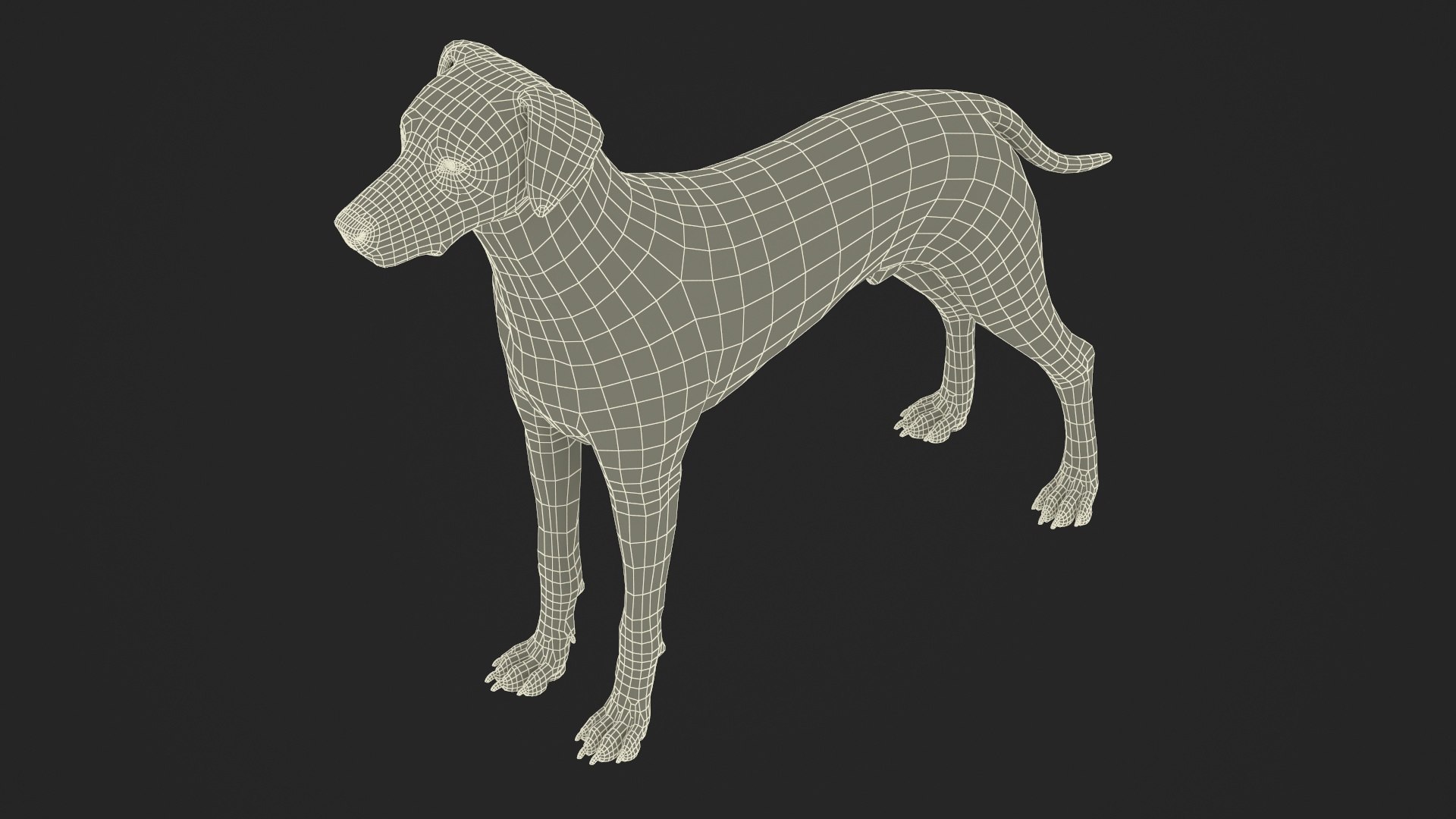 Dalmatian Dog Fur Model - TurboSquid 2234449
