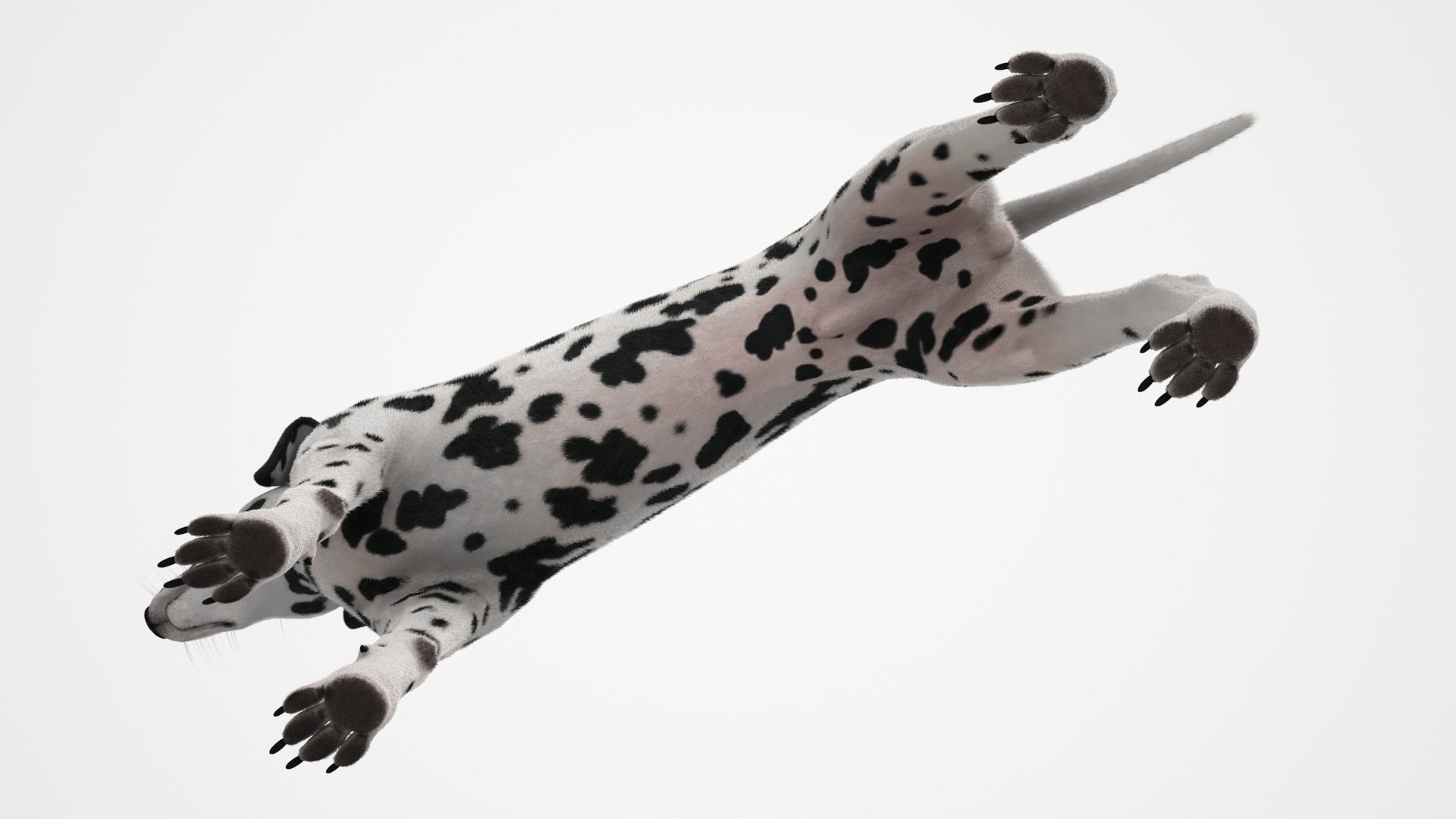 Dalmatian Dog Fur Model - TurboSquid 2234449