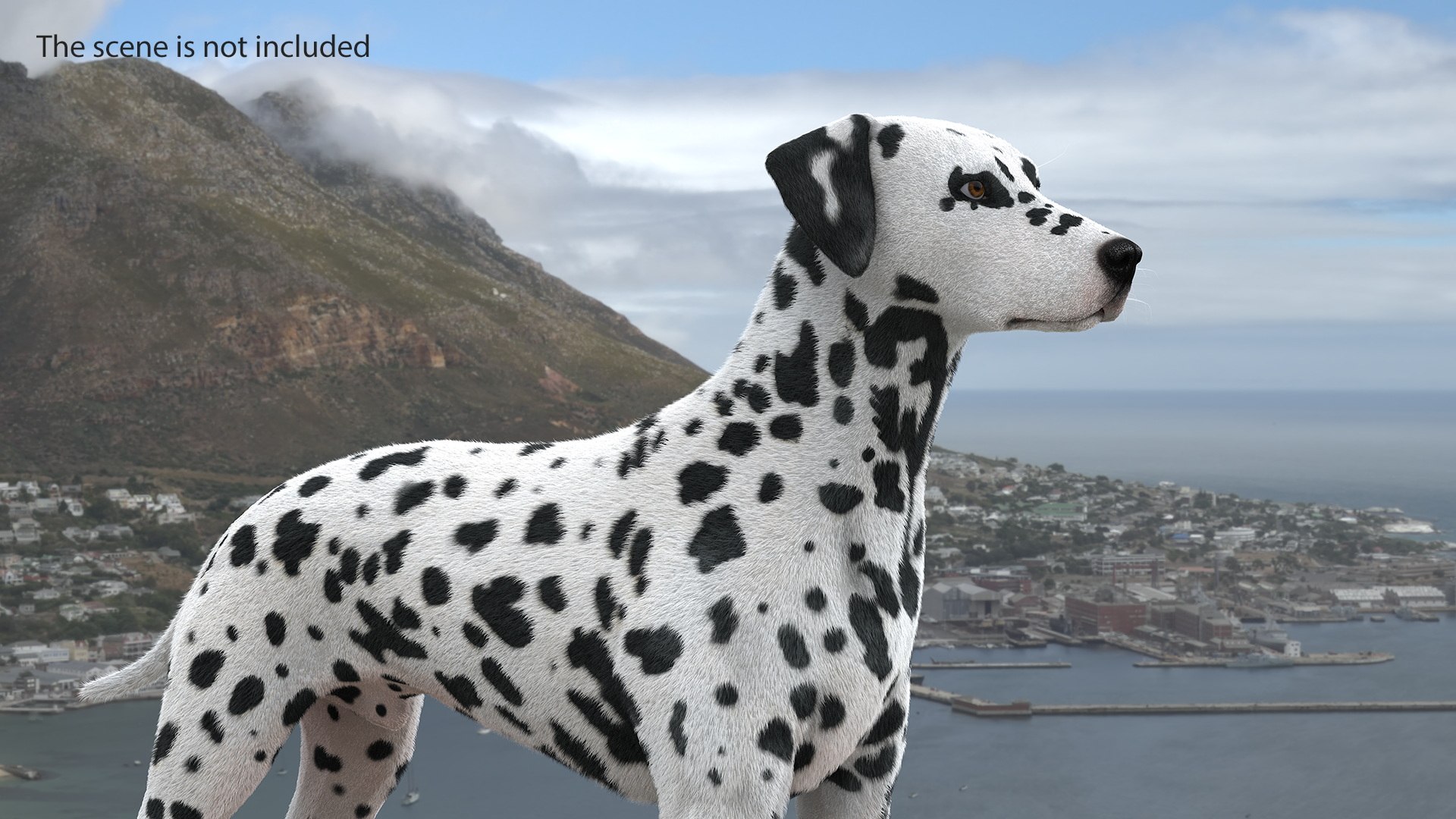 Dalmatian Dog Fur Model - TurboSquid 2234449