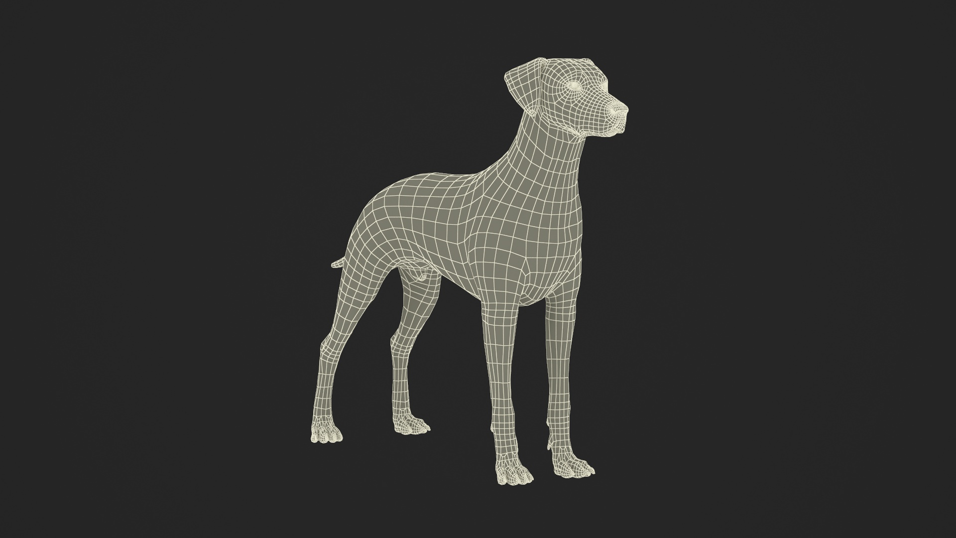 Dalmatian Dog Fur Model - TurboSquid 2234449