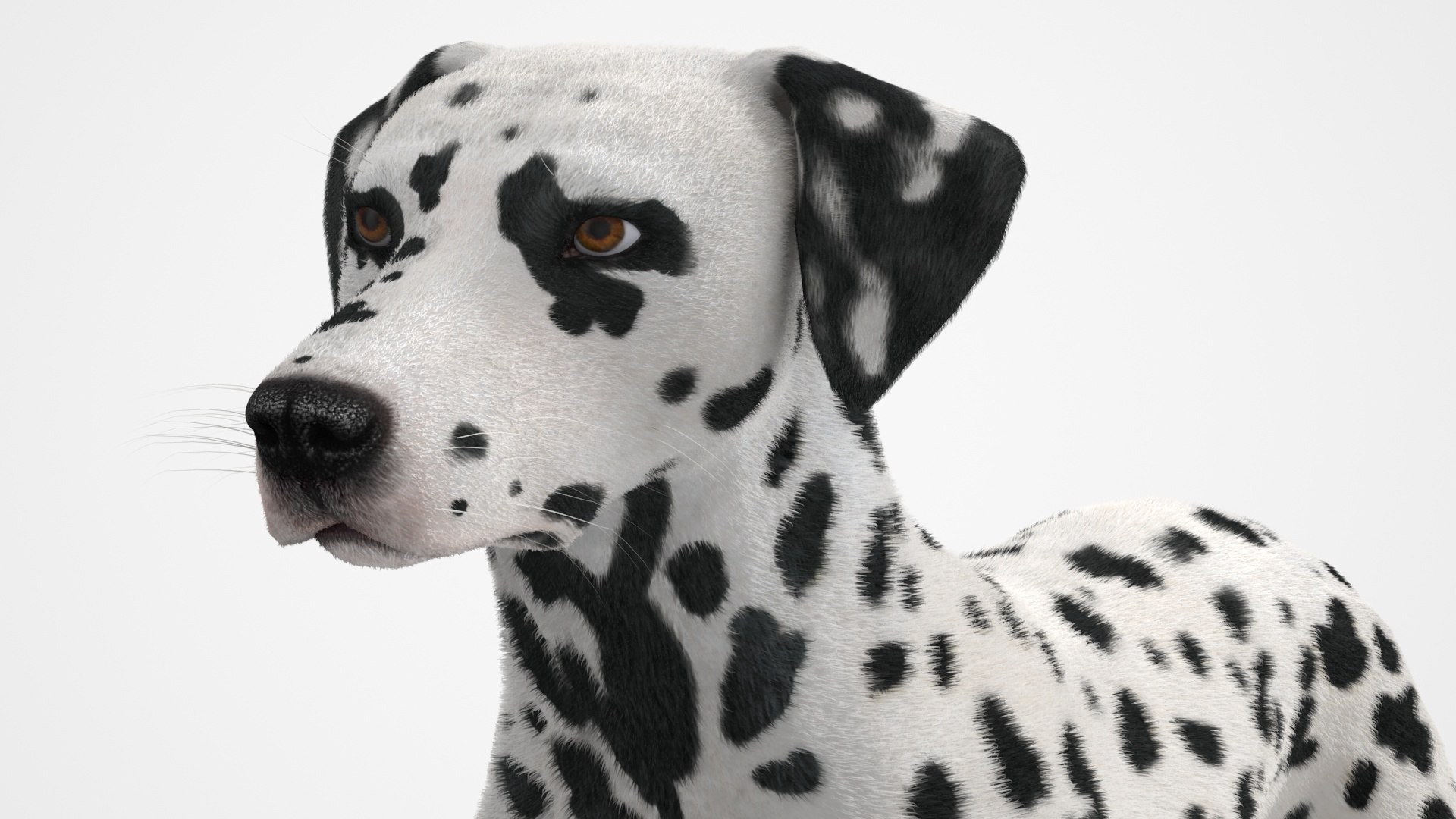 Dalmatian Dog Fur Model - TurboSquid 2234449