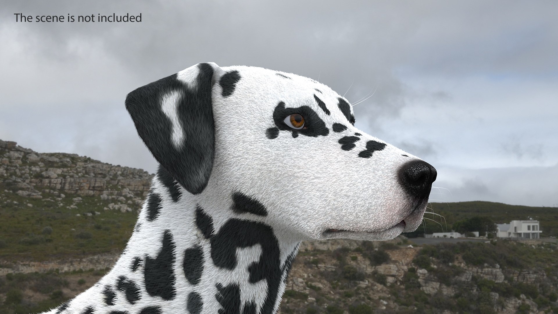 Dalmatian Dog Fur Model - TurboSquid 2234449