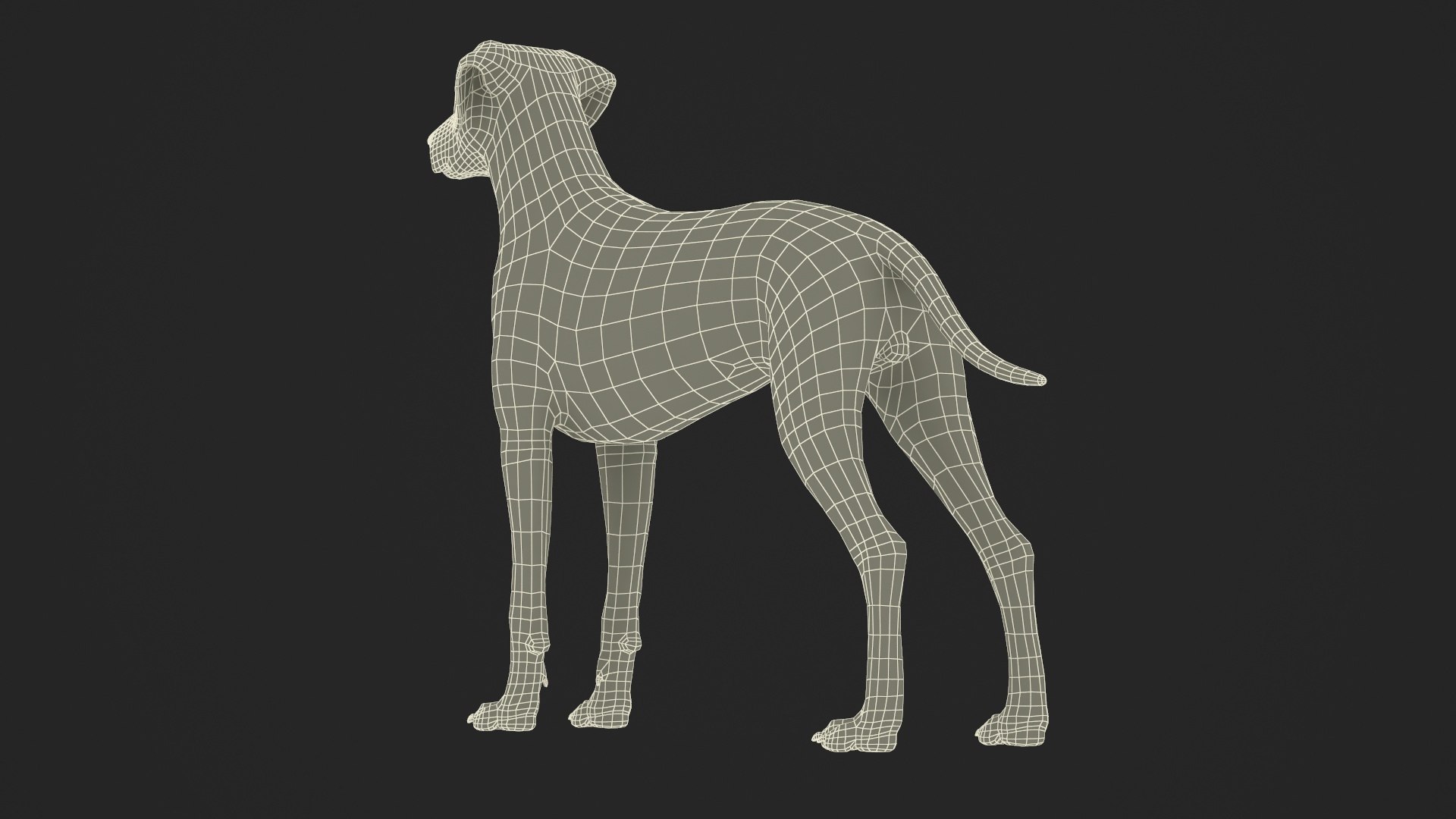 Dalmatian Dog Fur Model - TurboSquid 2234449