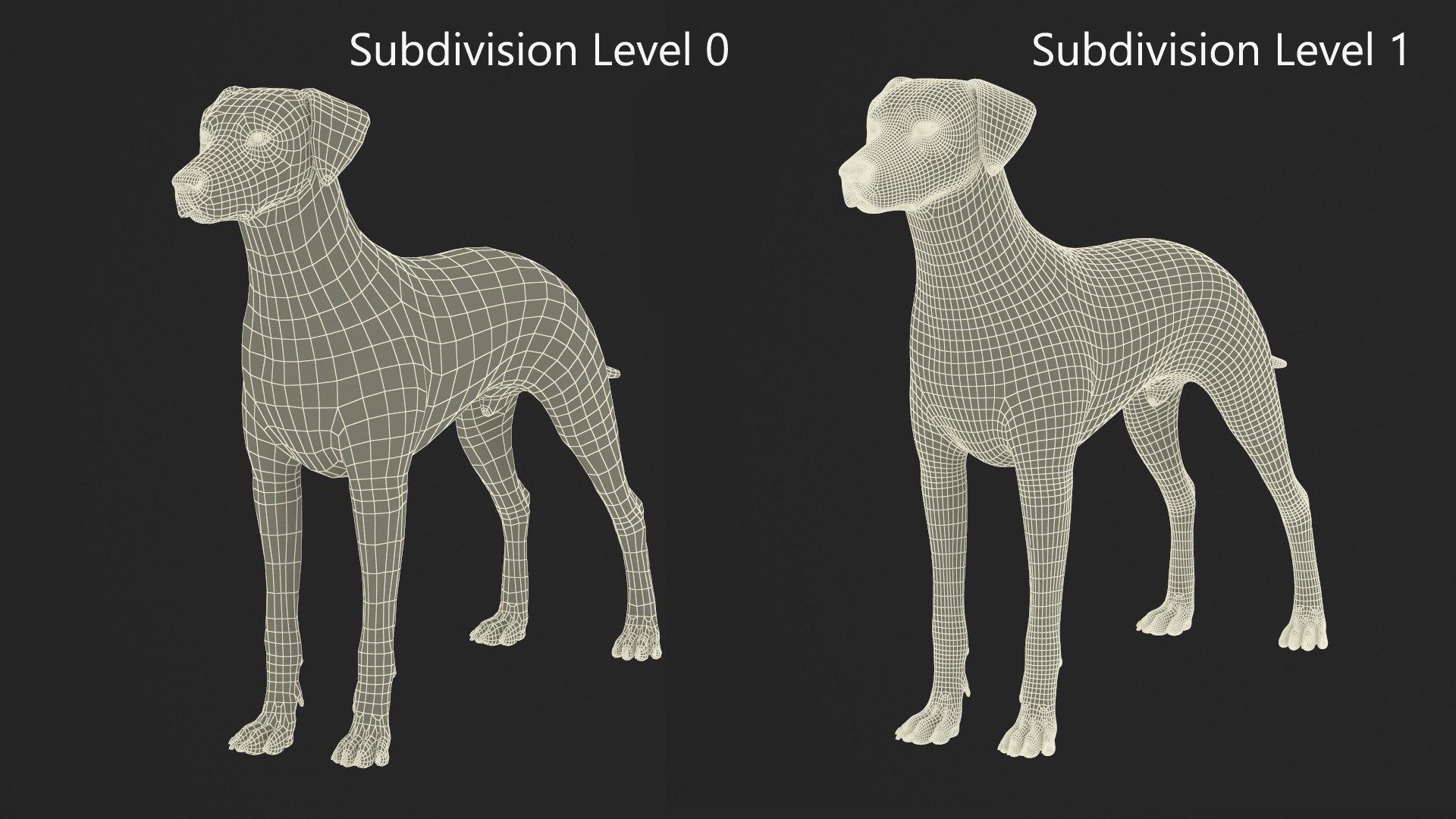 Dalmatian Dog Fur Model - TurboSquid 2234449