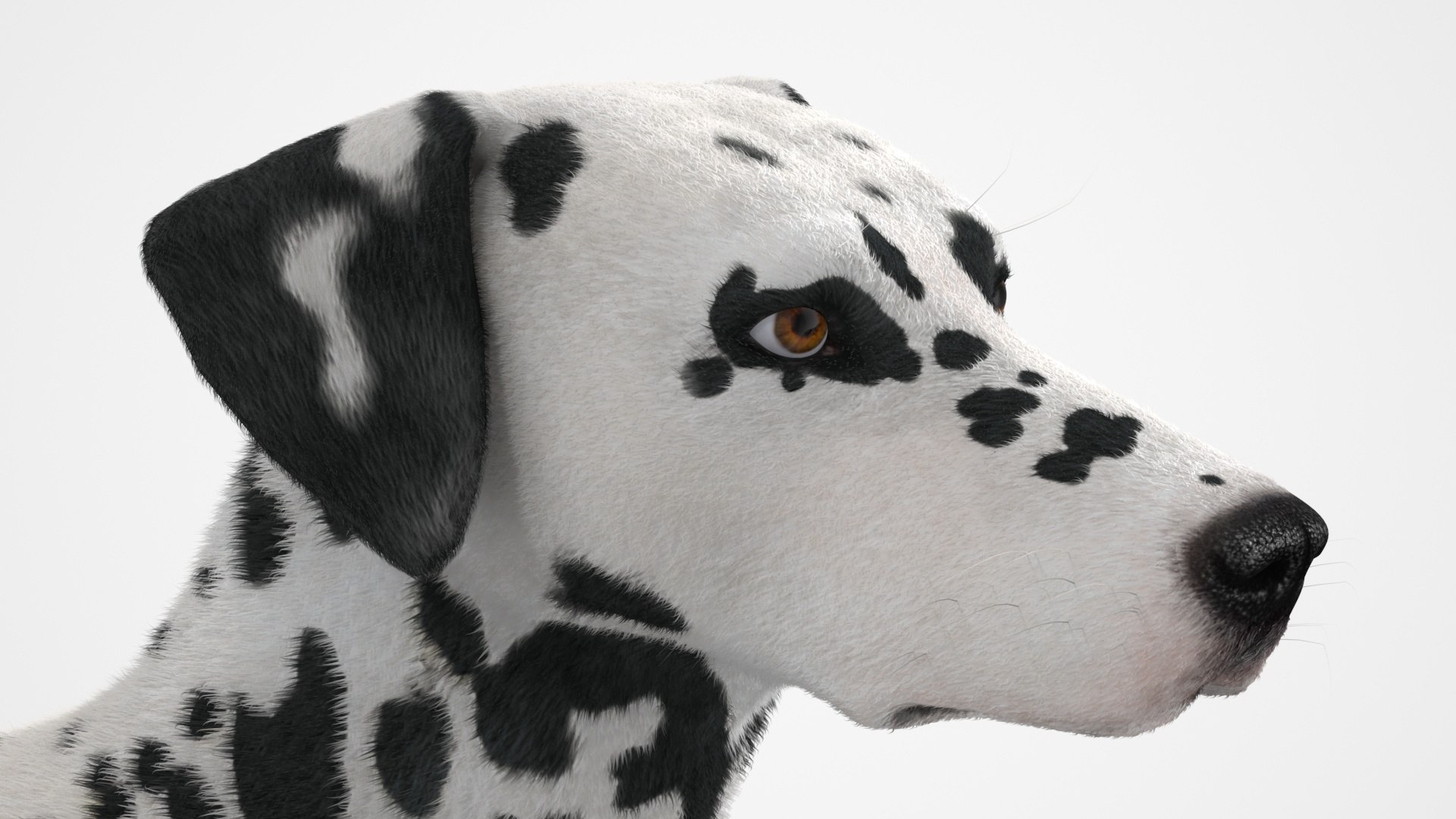 Dalmatian Dog Fur Model - TurboSquid 2234449