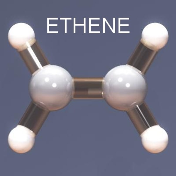3d model 20 molecules