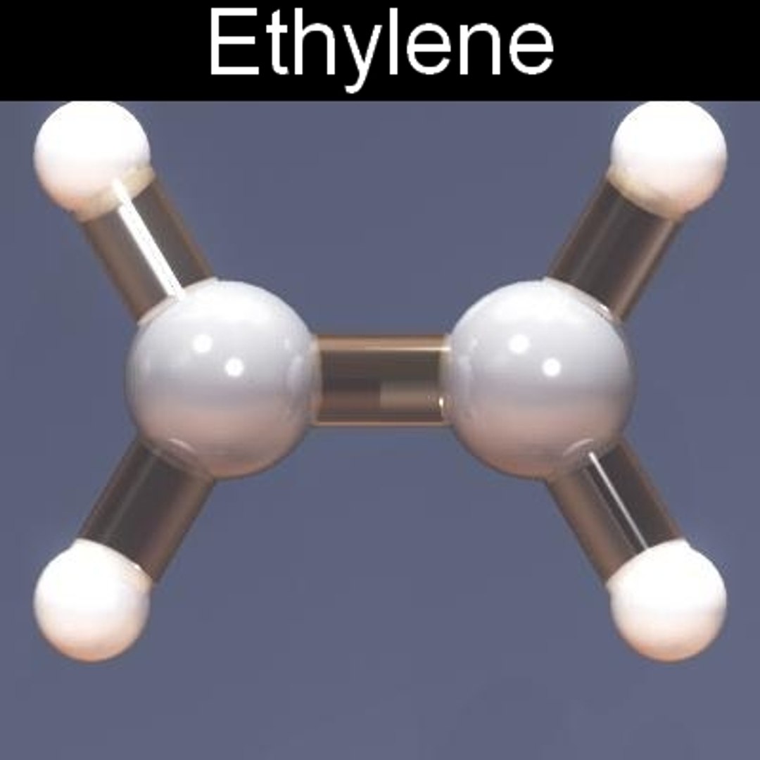 3d Model 20 Molecules
