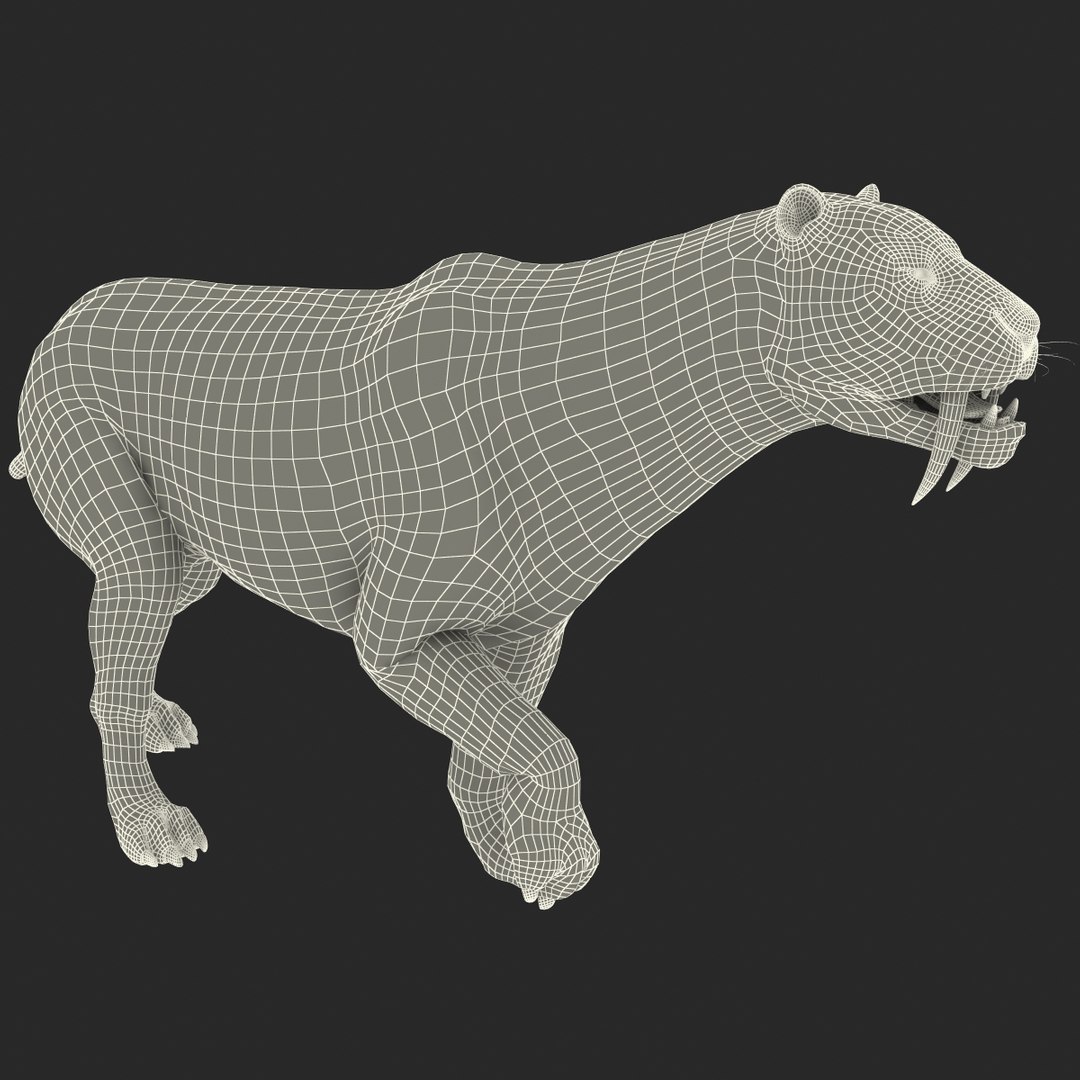Smilodon 2 Pose 1 3d Model