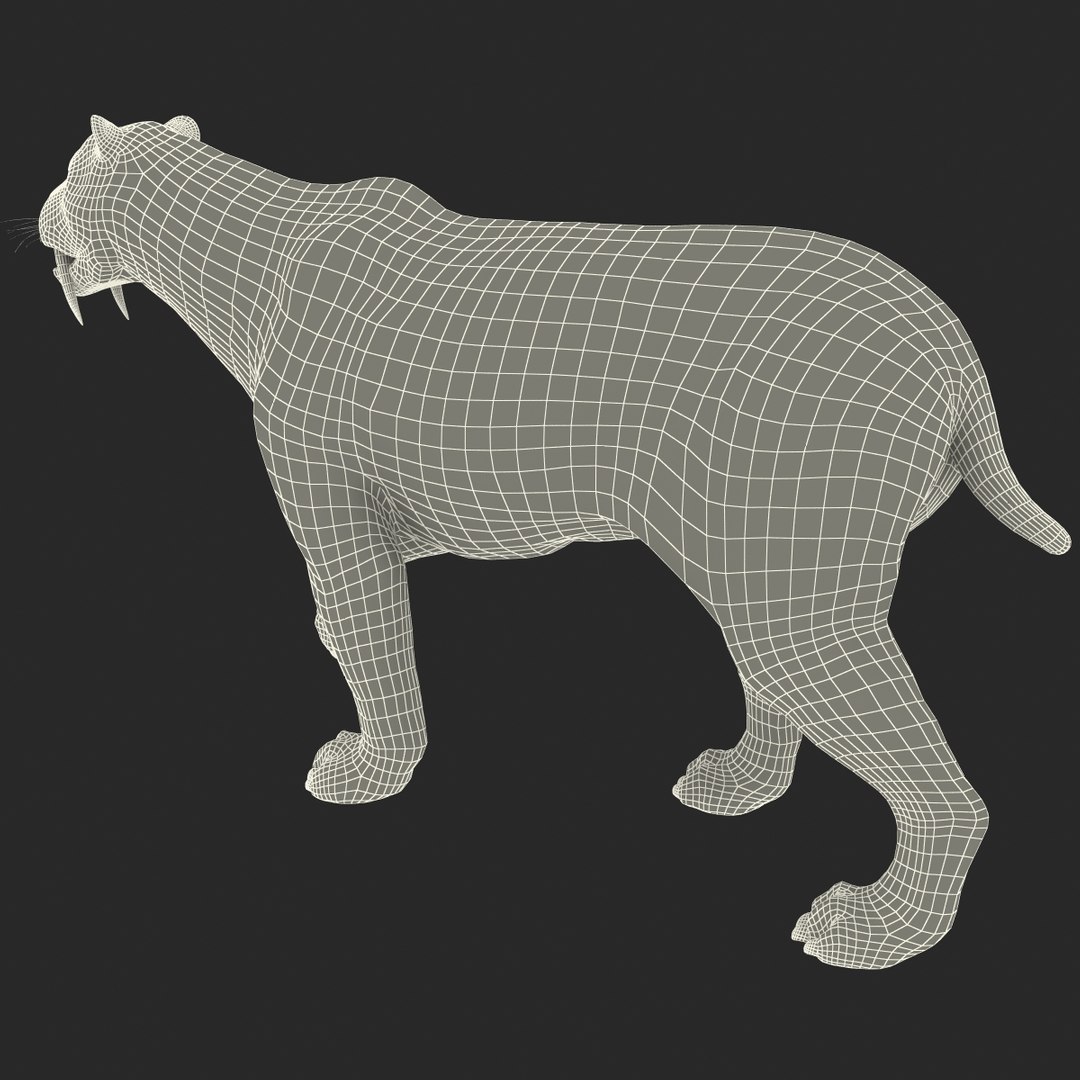 Smilodon 2 Pose 1 3d Model