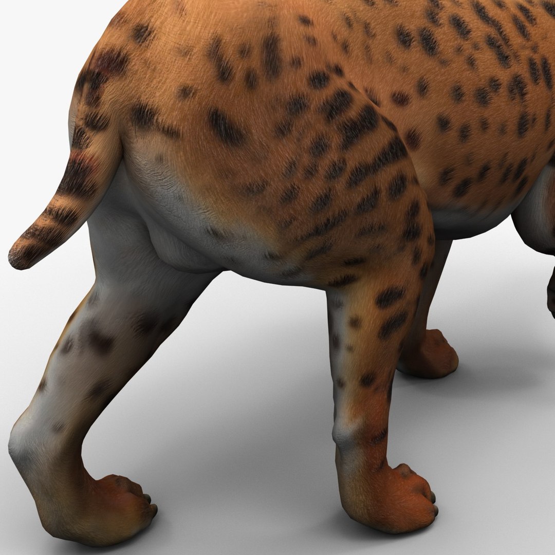 Smilodon 2 Pose 1 3d Model