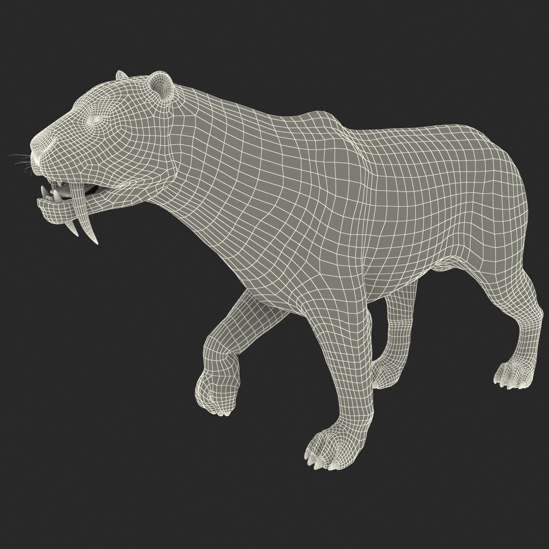 Smilodon 2 Pose 1 3d Model